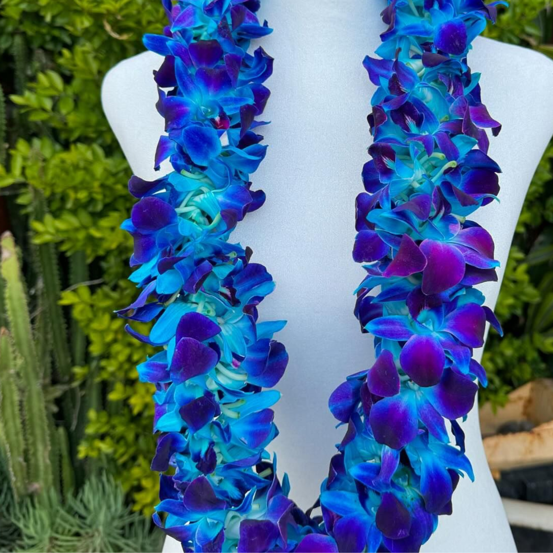 Wholesale Thai Orchid Flowers & Orchid Decor - Thai Orchids Farm