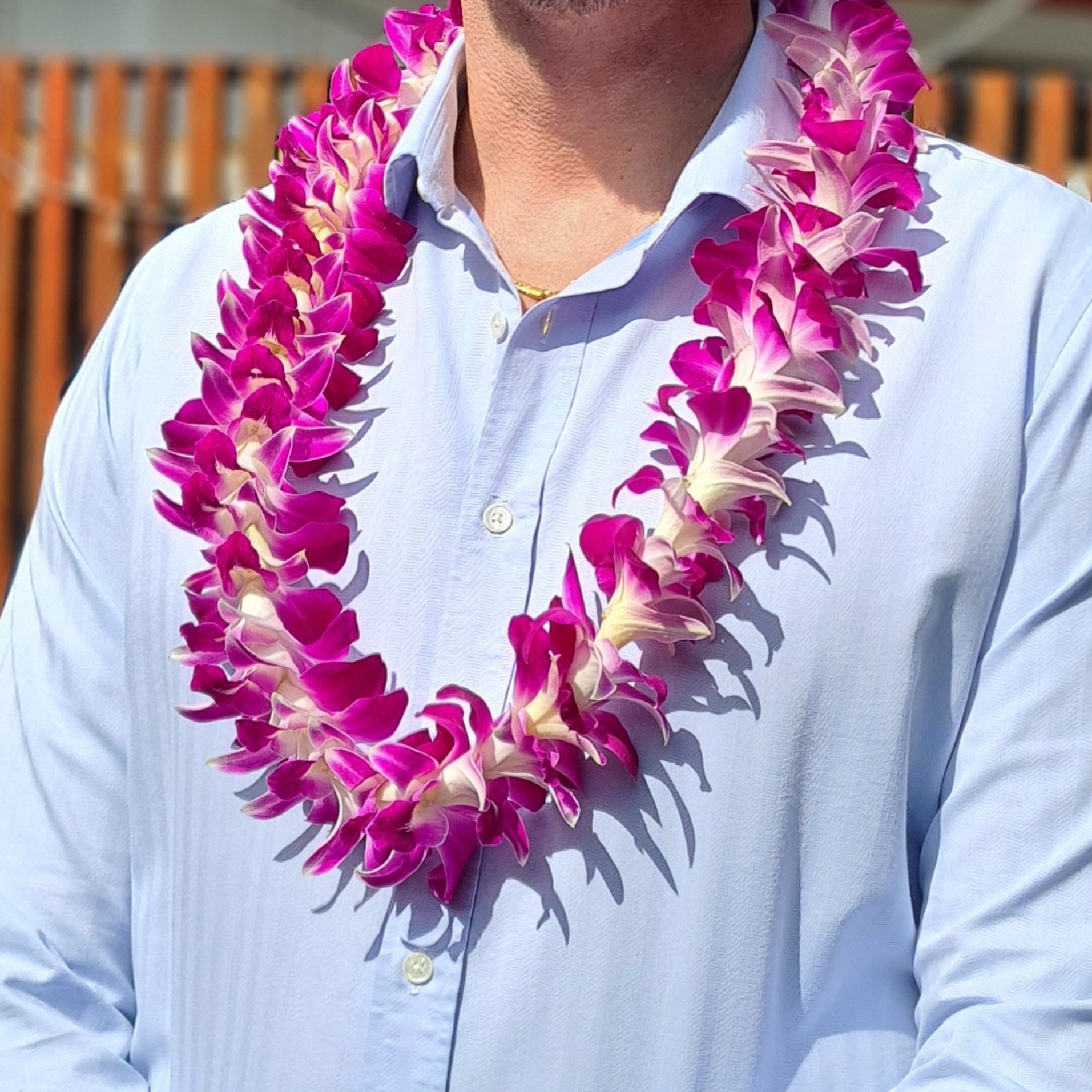 Wholesale Thai Orchid Flowers & Orchid Decor - Thai Orchids Farm