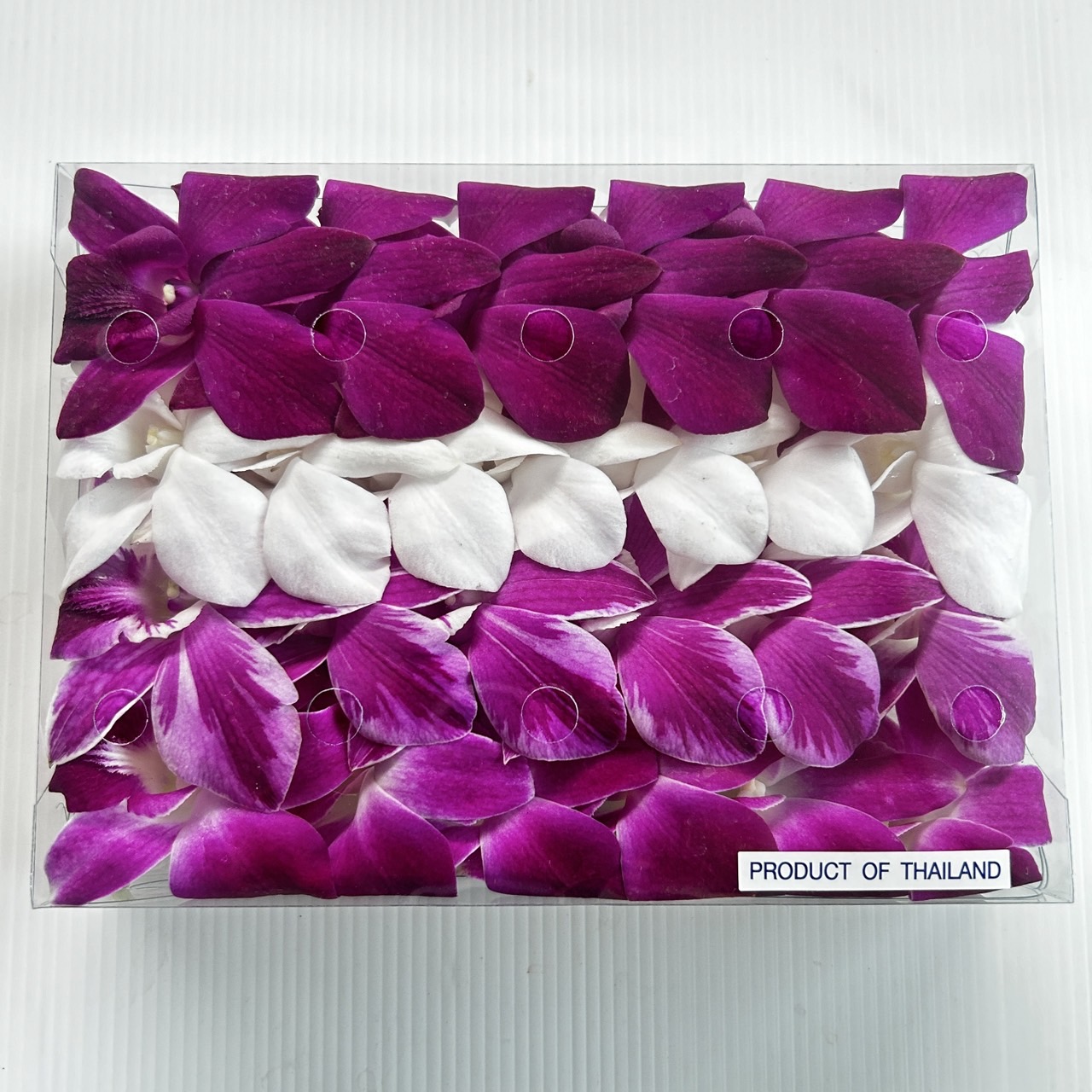 Thai Orchid Farm | Premium Orchids for Sale Across America